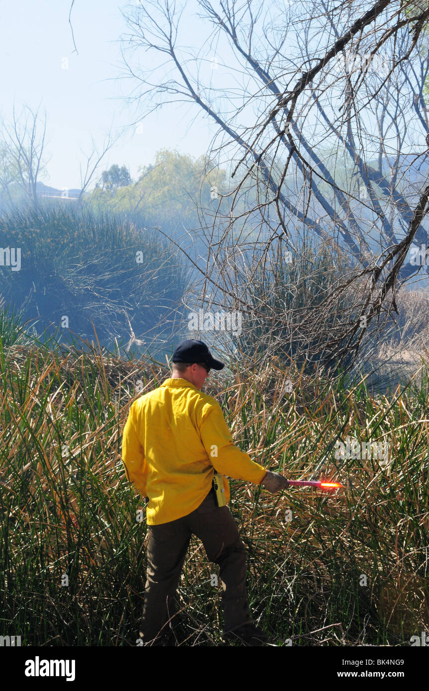 A controlled burn is conducted for mosquito abatement in the Sonoran ...