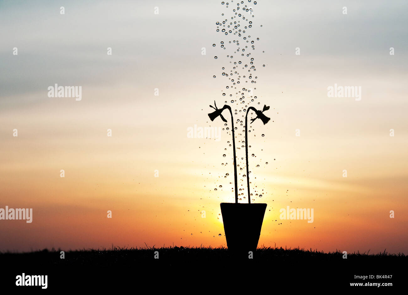 Double drop of water hi-res stock photography and images - Alamy