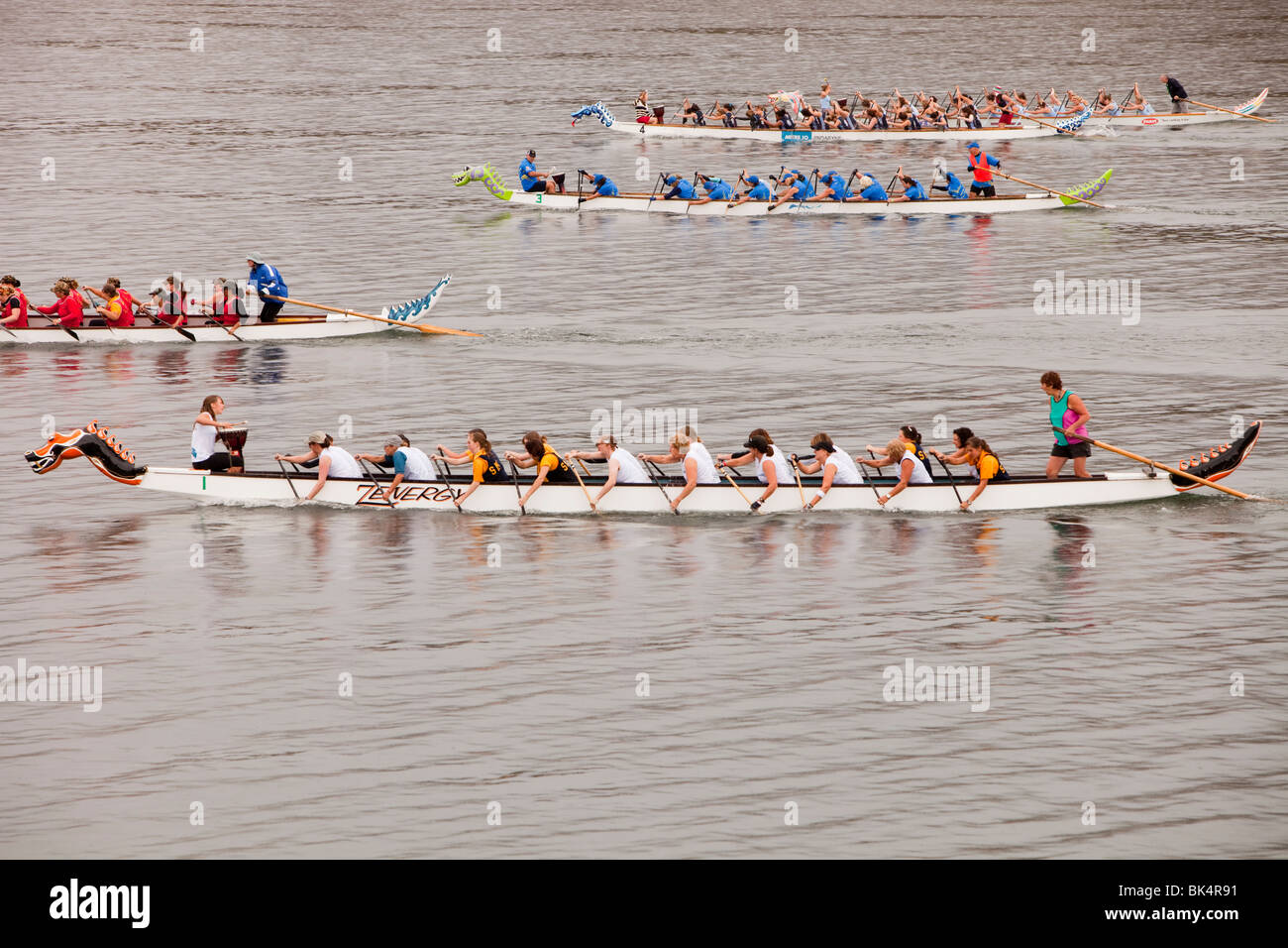 Teams of dragon boat racers at Jindabyne in the Snowy mountains ...