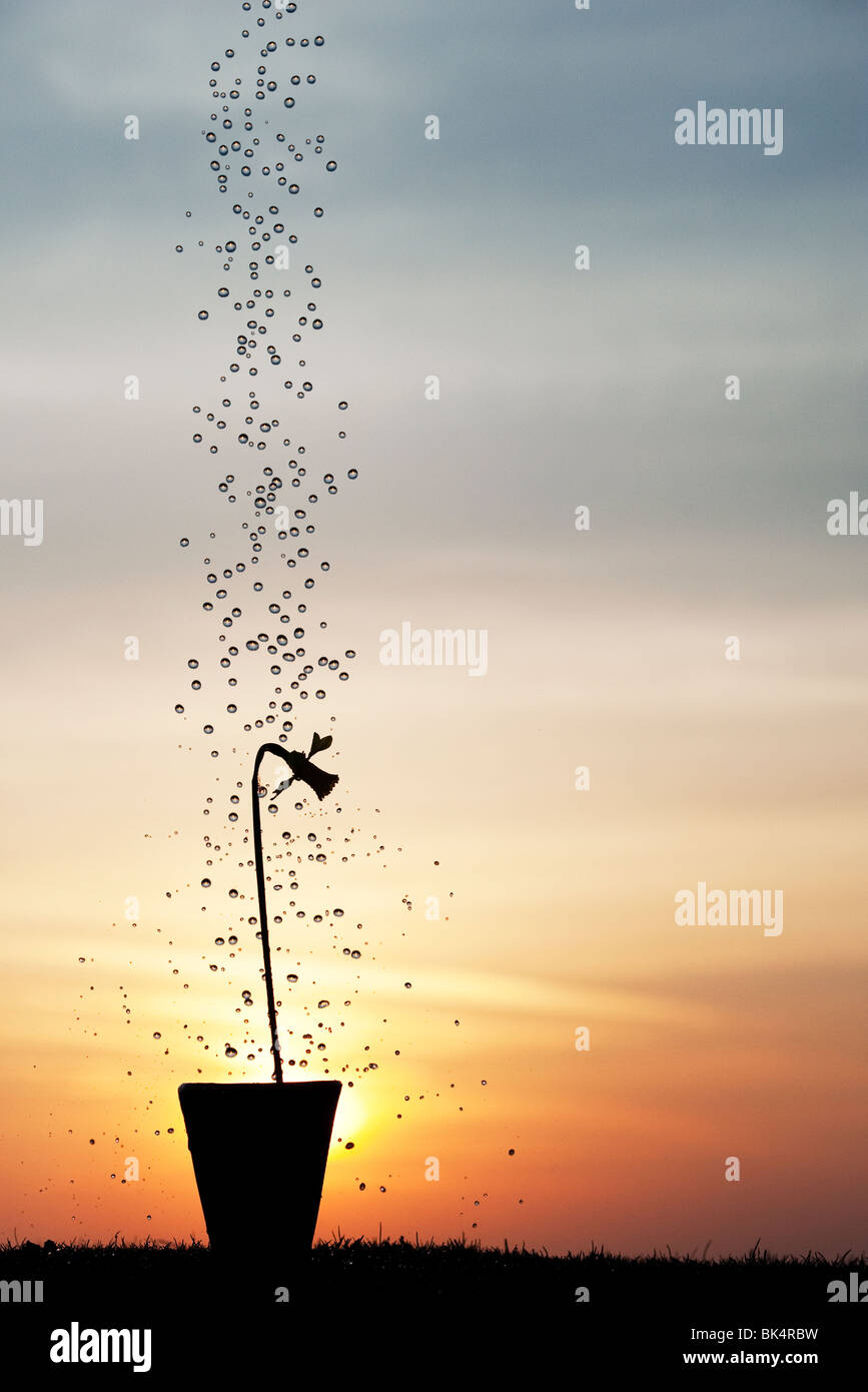 Soaking pot water garden hi-res stock photography and images - Alamy