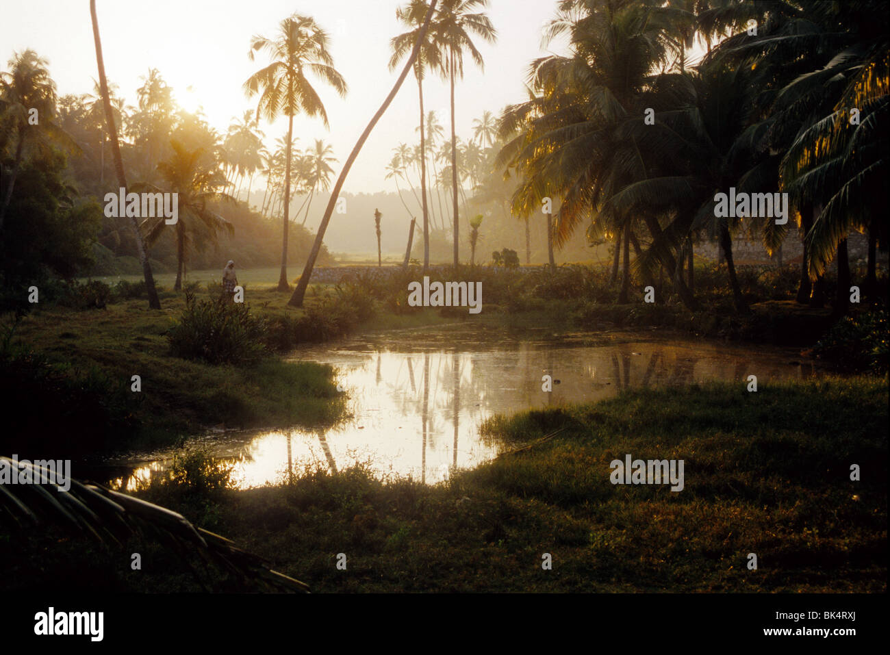 Overview of backwaters Stock Photo - Alamy