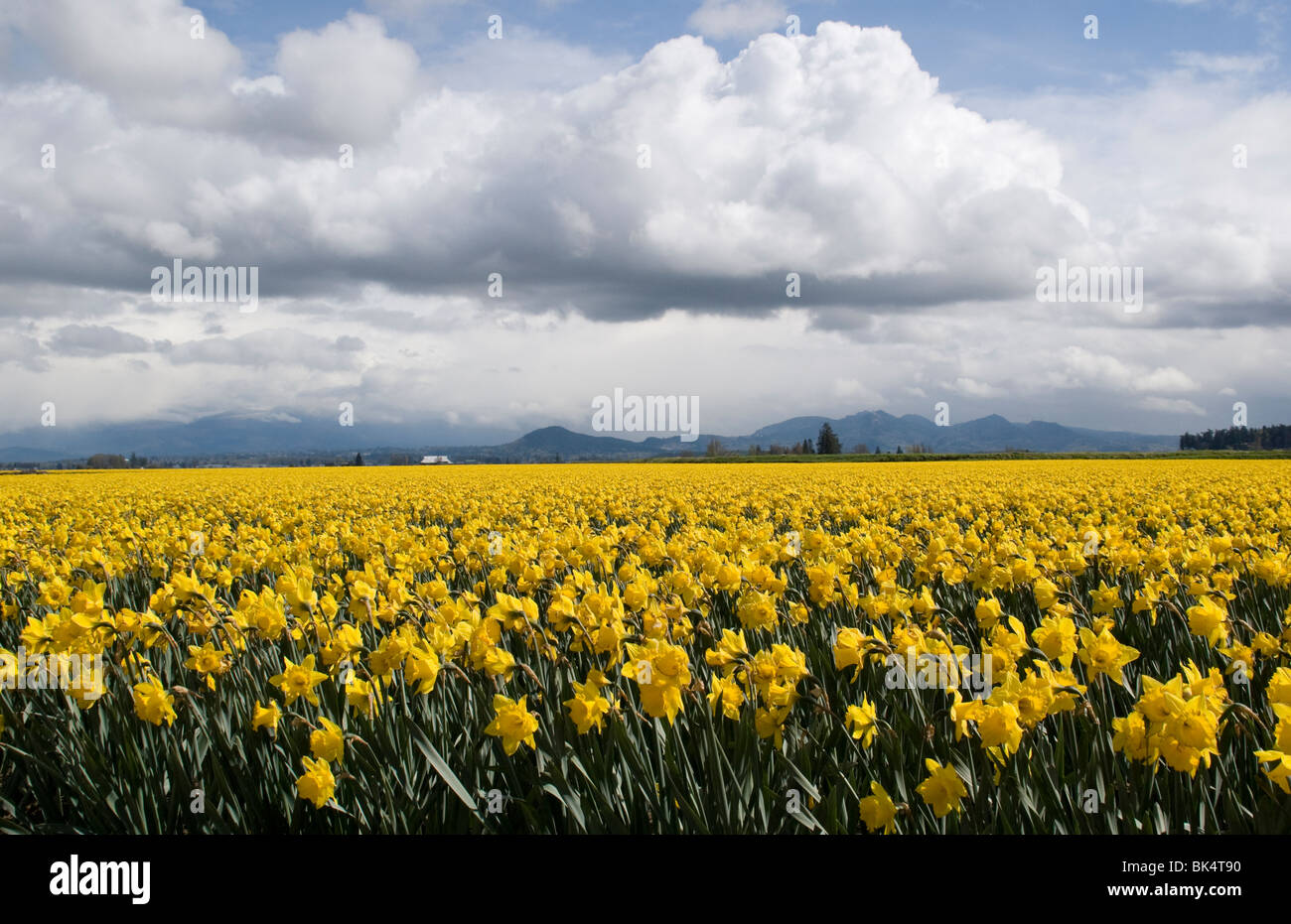 Washington valley hi-res stock photography and images - Alamy