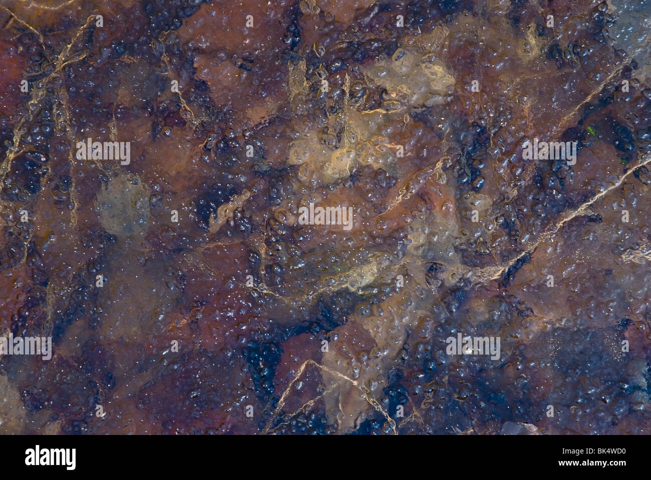 Decaying material hi-res stock photography and images - Alamy
