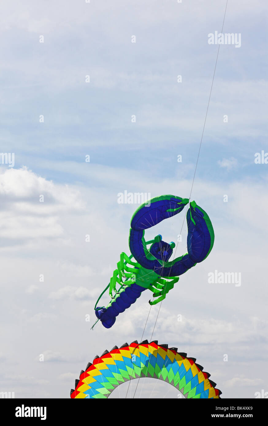 Common scorpio hi-res stock photography and images - Alamy