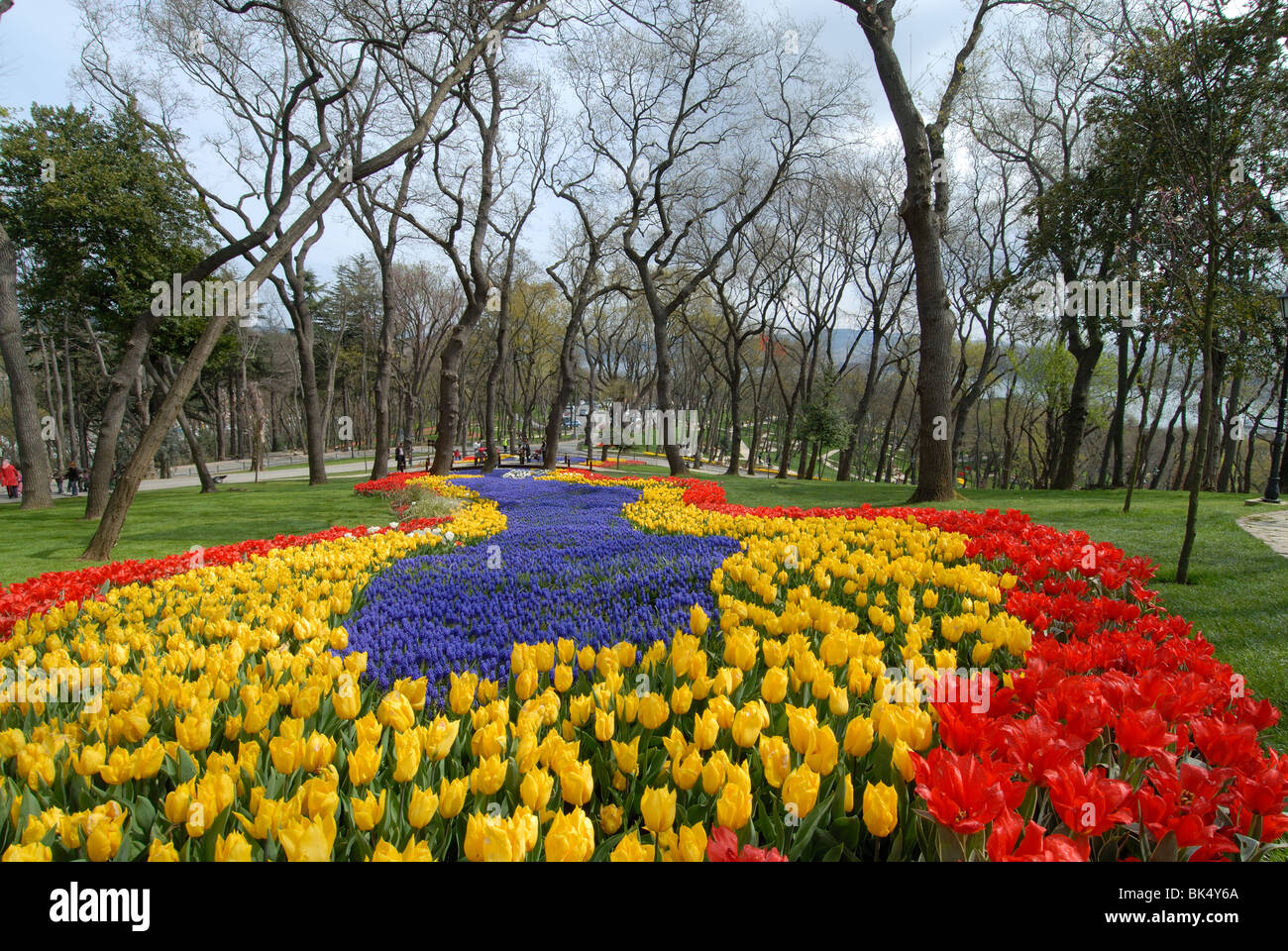 Tulip parks in Istanbul Stock Photo - Alamy