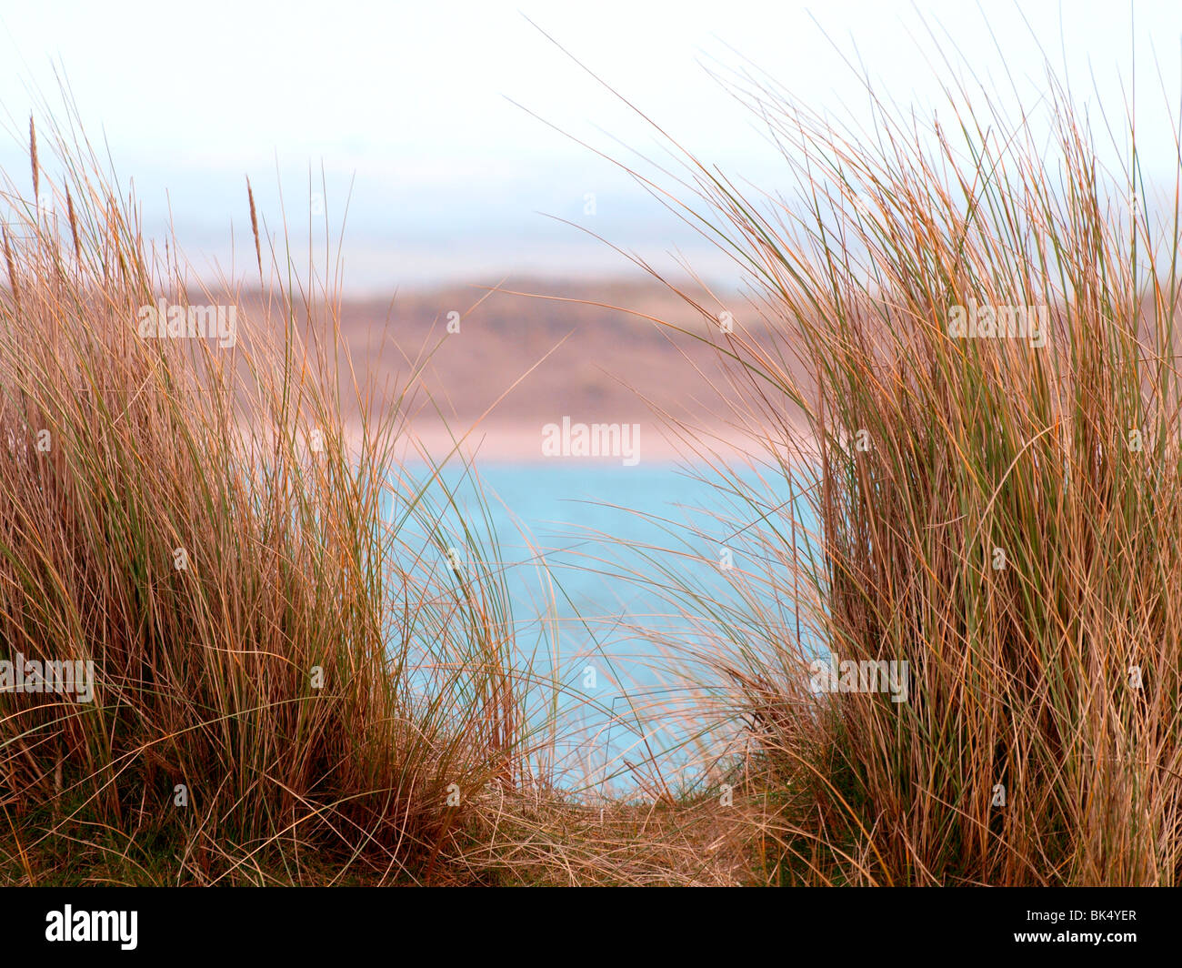 Path through the sand dunes hi-res stock photography and images - Alamy