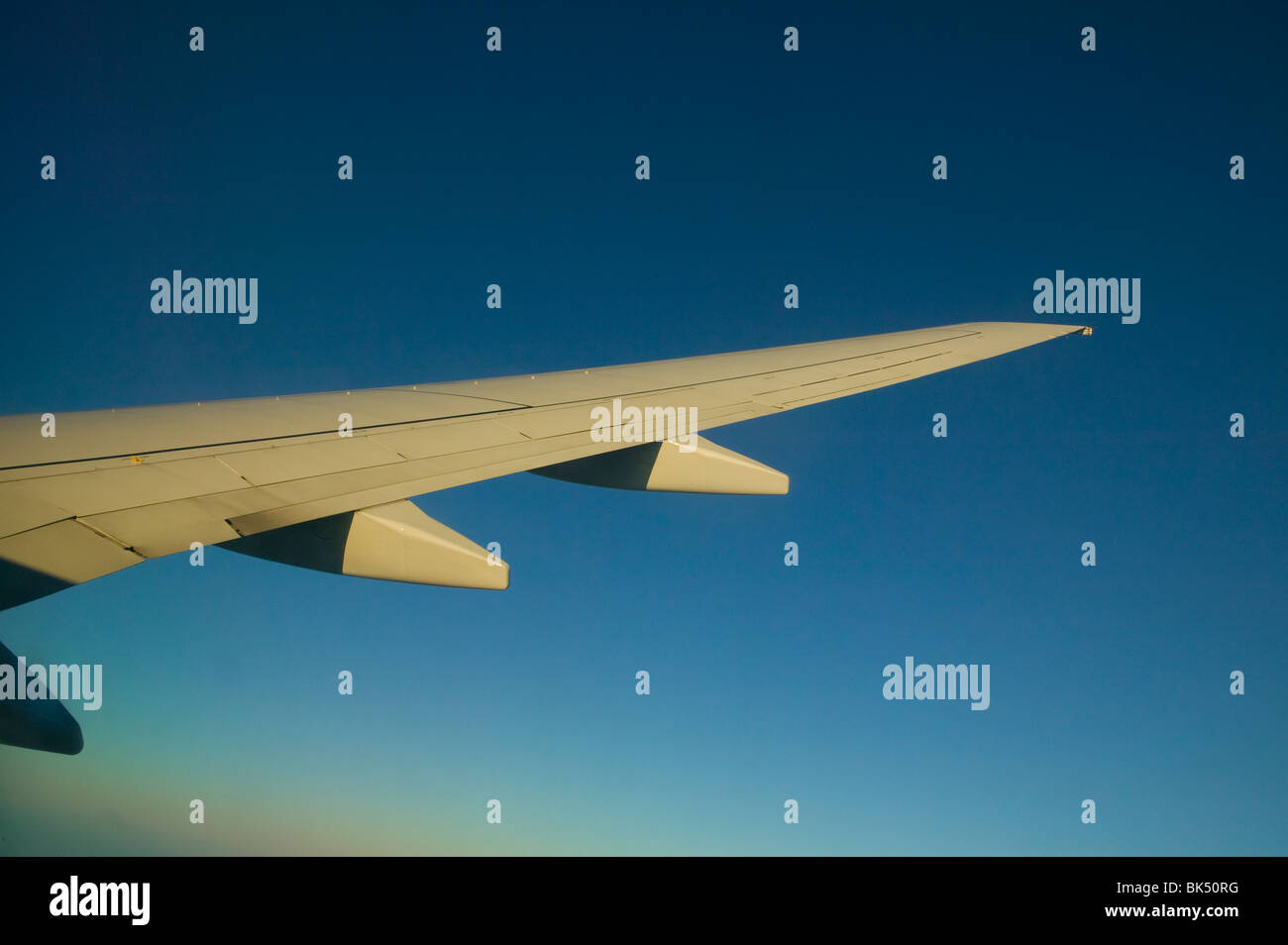 Wing At night Stock Photo - Alamy