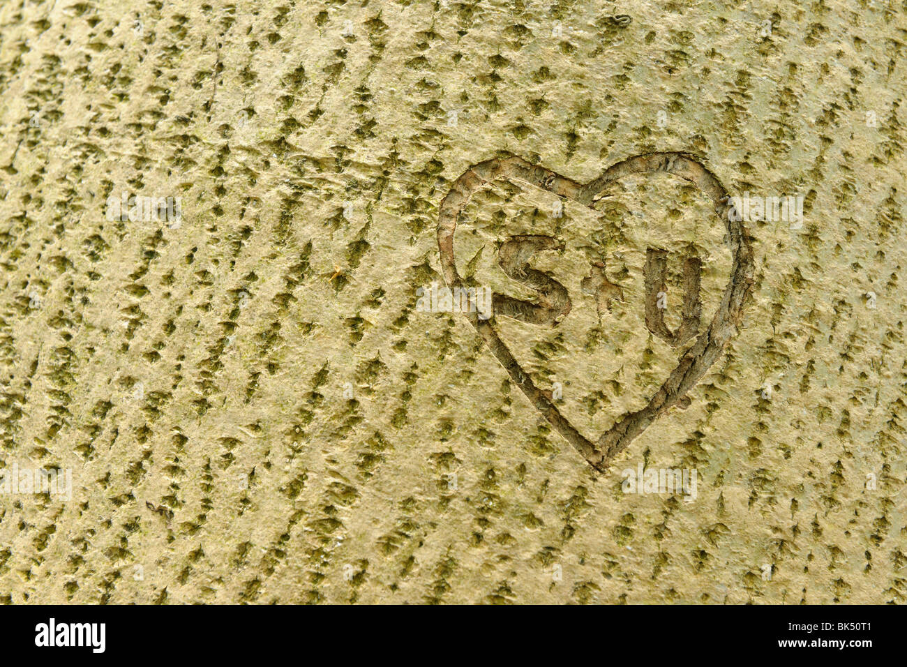 Wood Carving Texture High Resolution Stock Photography and Images - Alamy