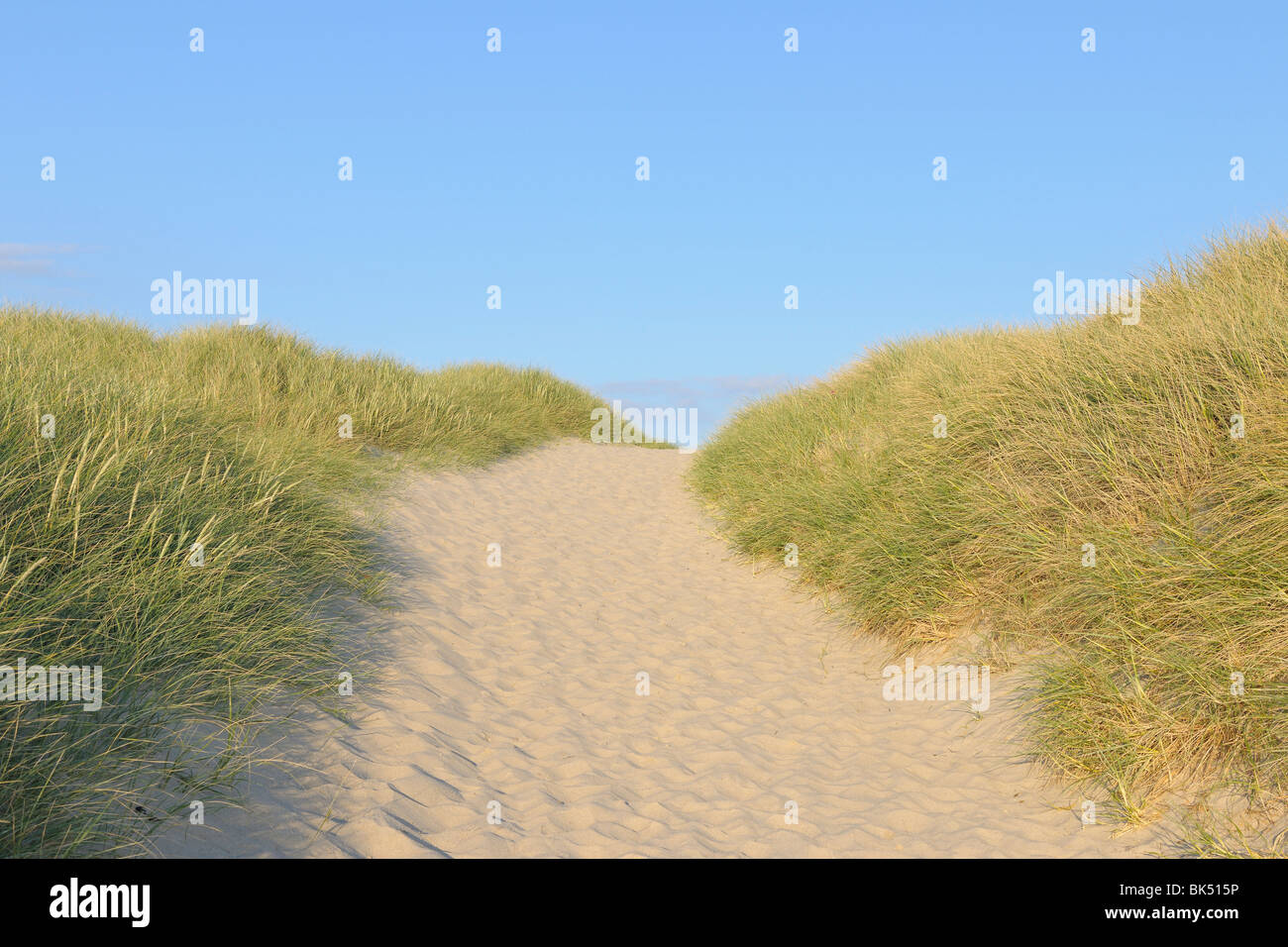 Nordfriesland district hi-res stock photography and images - Alamy