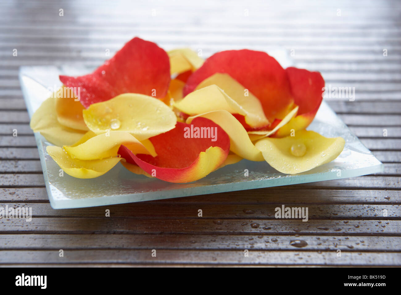 Rejuvenate by division hi-res stock photography and images - Alamy