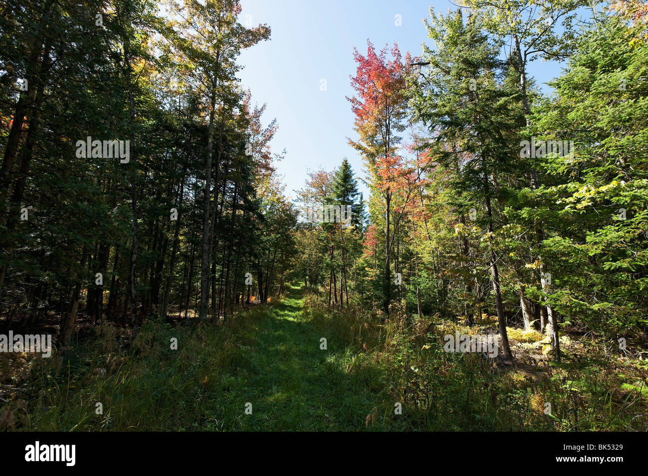 Fitch bay hi-res stock photography and images - Alamy