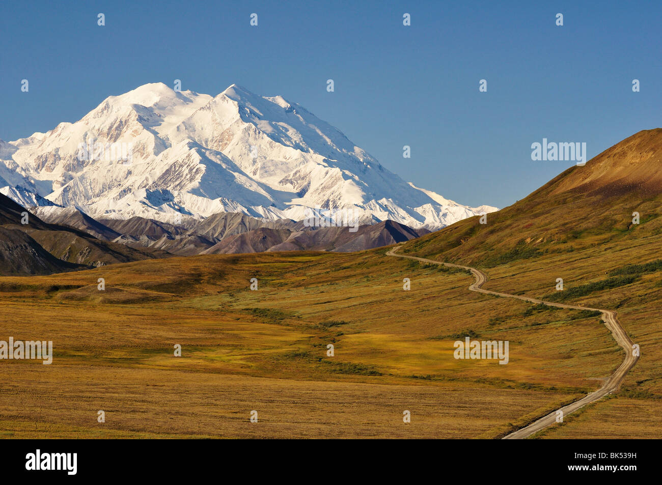 Mount McKinley, Denali National Park and Preserve, Alaska, USA Stock ...