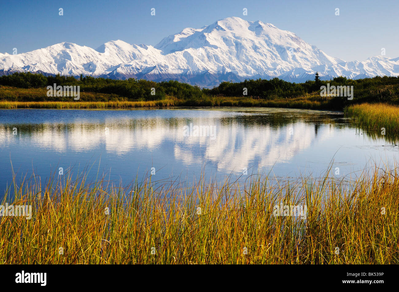 Mount McKinley, Denali National Park and Preserve, Alaska, USA Stock ...