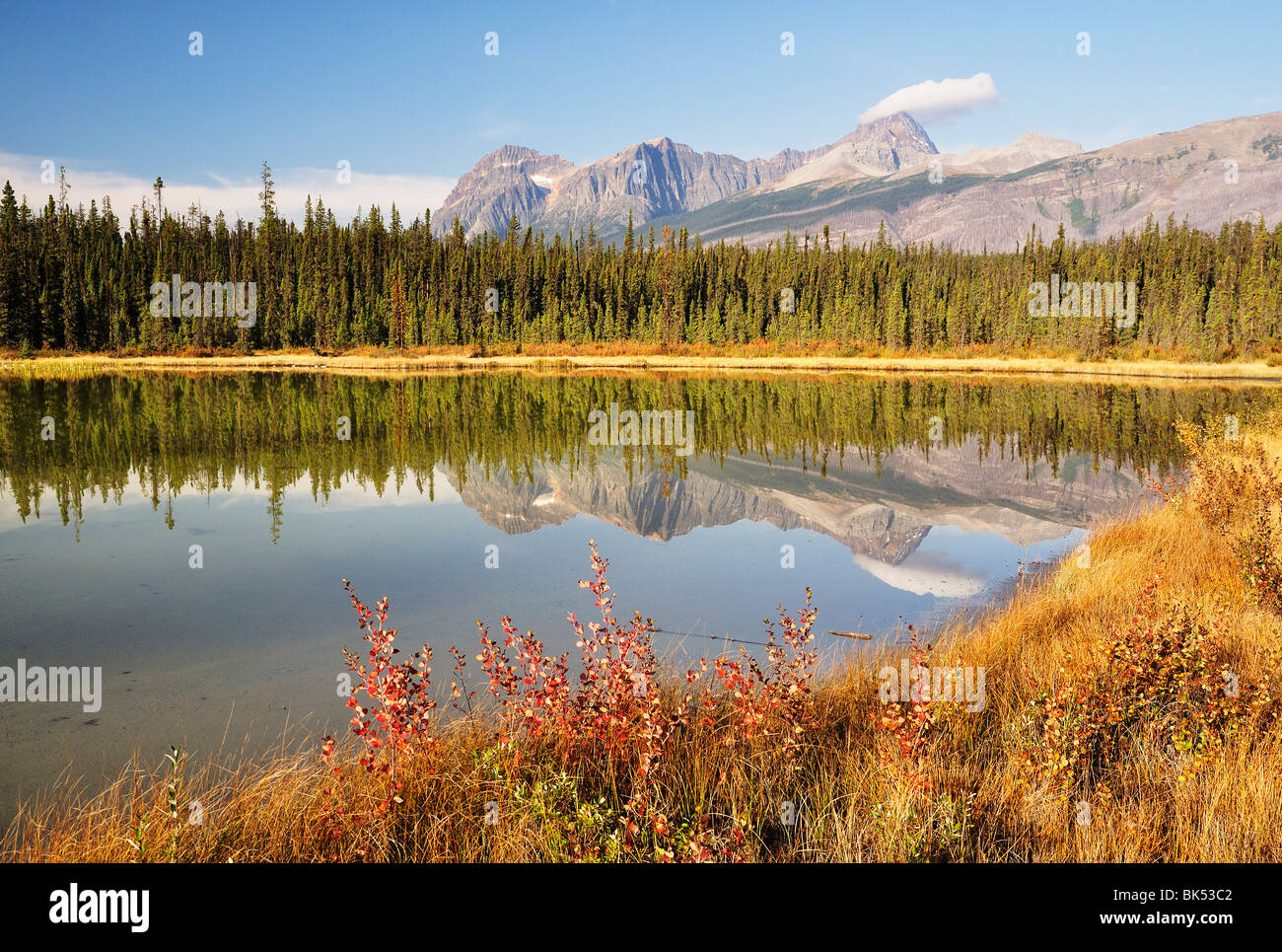 Aquila Mountain, Jasper National Park, Alberta, Canada Stock Photo - Alamy