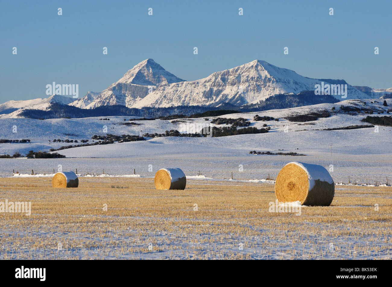 Prairie and Rocky Mountains, Near Pincher Creek, Alberta, Canada Stock ...