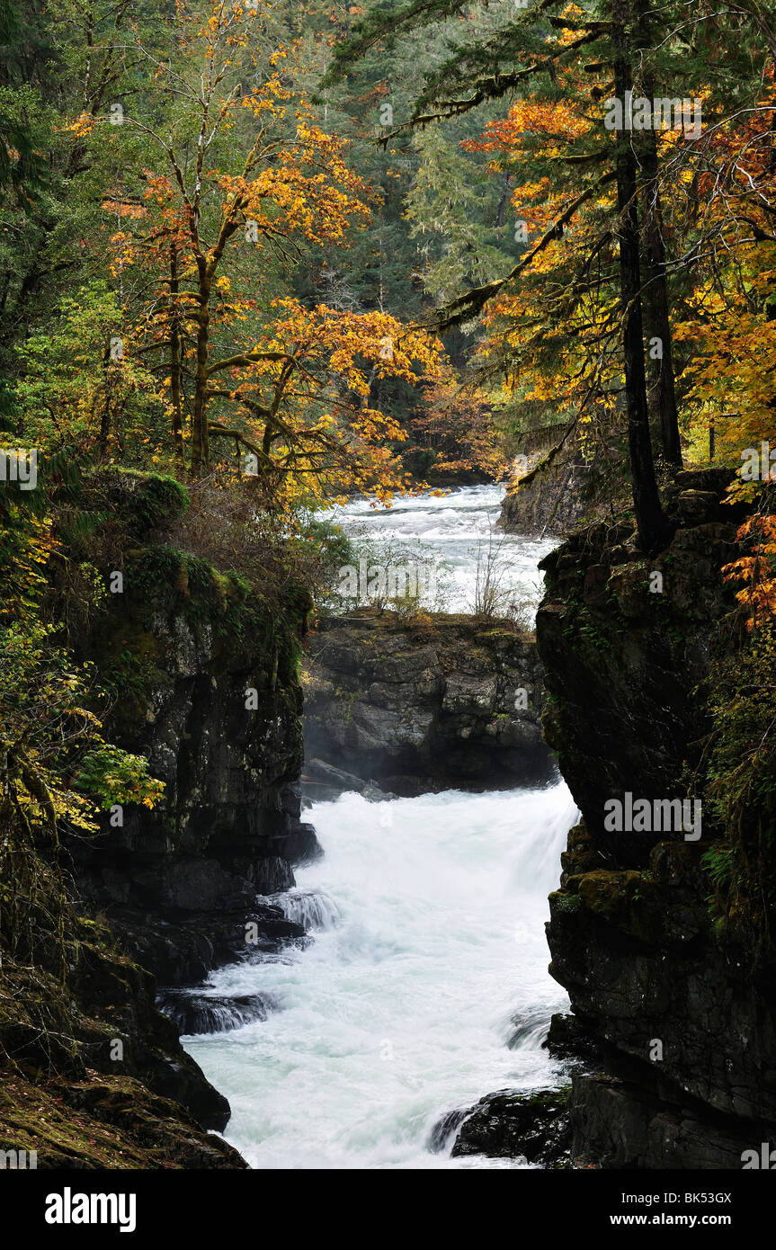 Stamp falls provincial park hi-res stock photography and images - Alamy