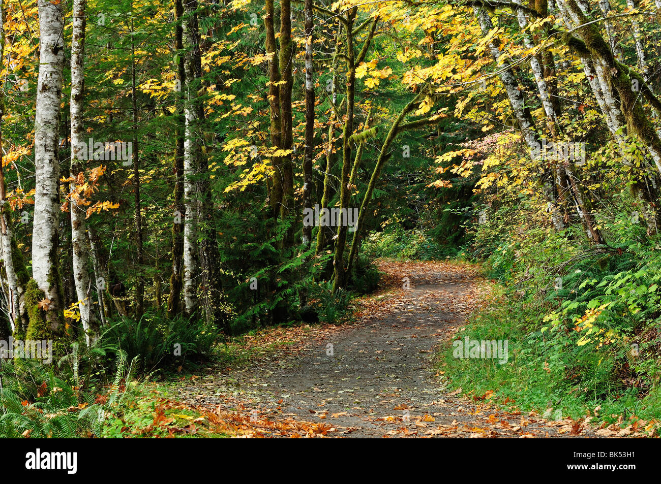 Stamp falls hi-res stock photography and images - Alamy