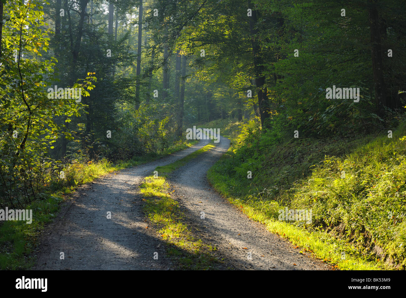 Main spessart hi-res stock photography and images - Alamy