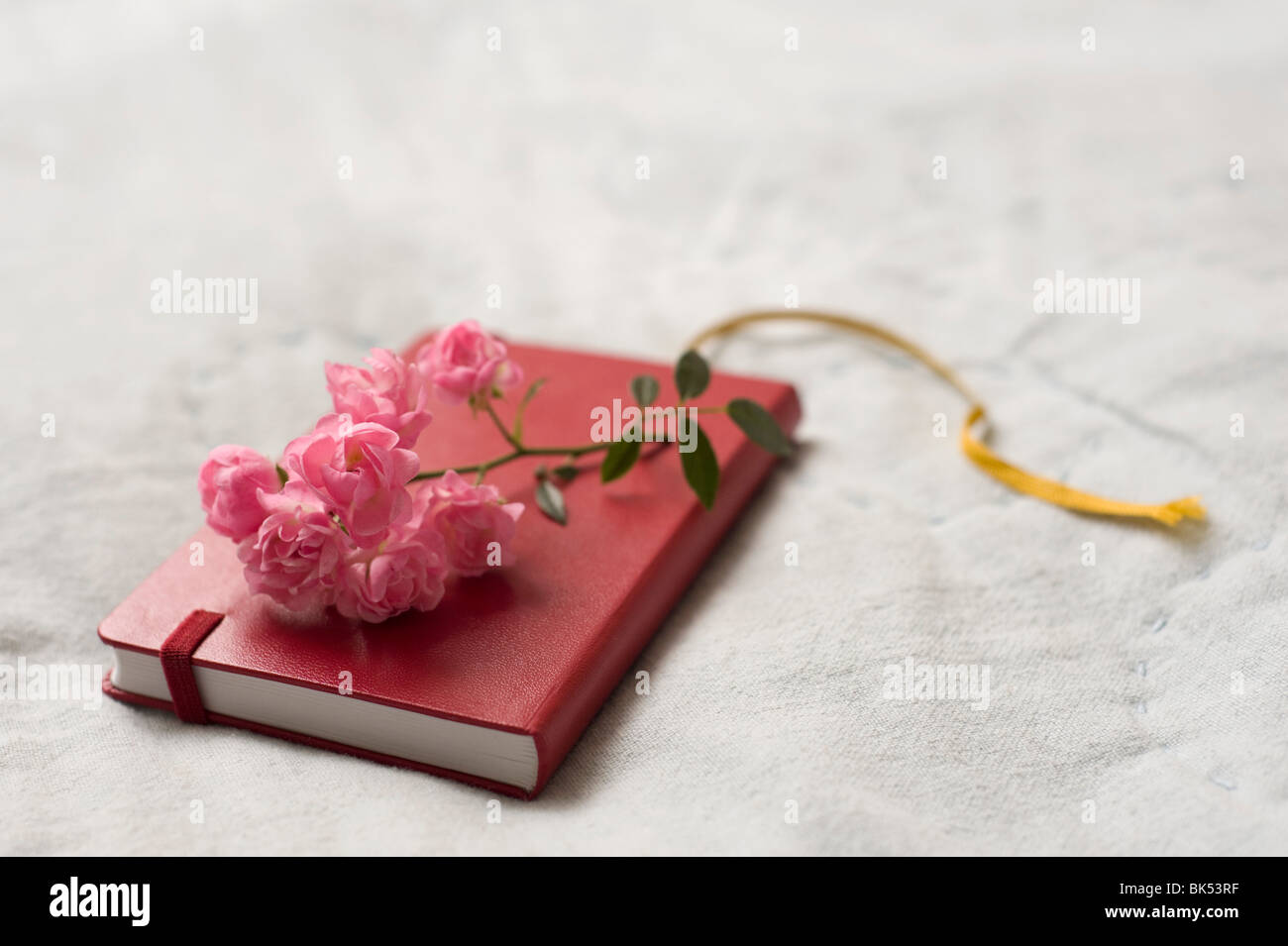 Nature journal hi-res stock photography and images - Alamy