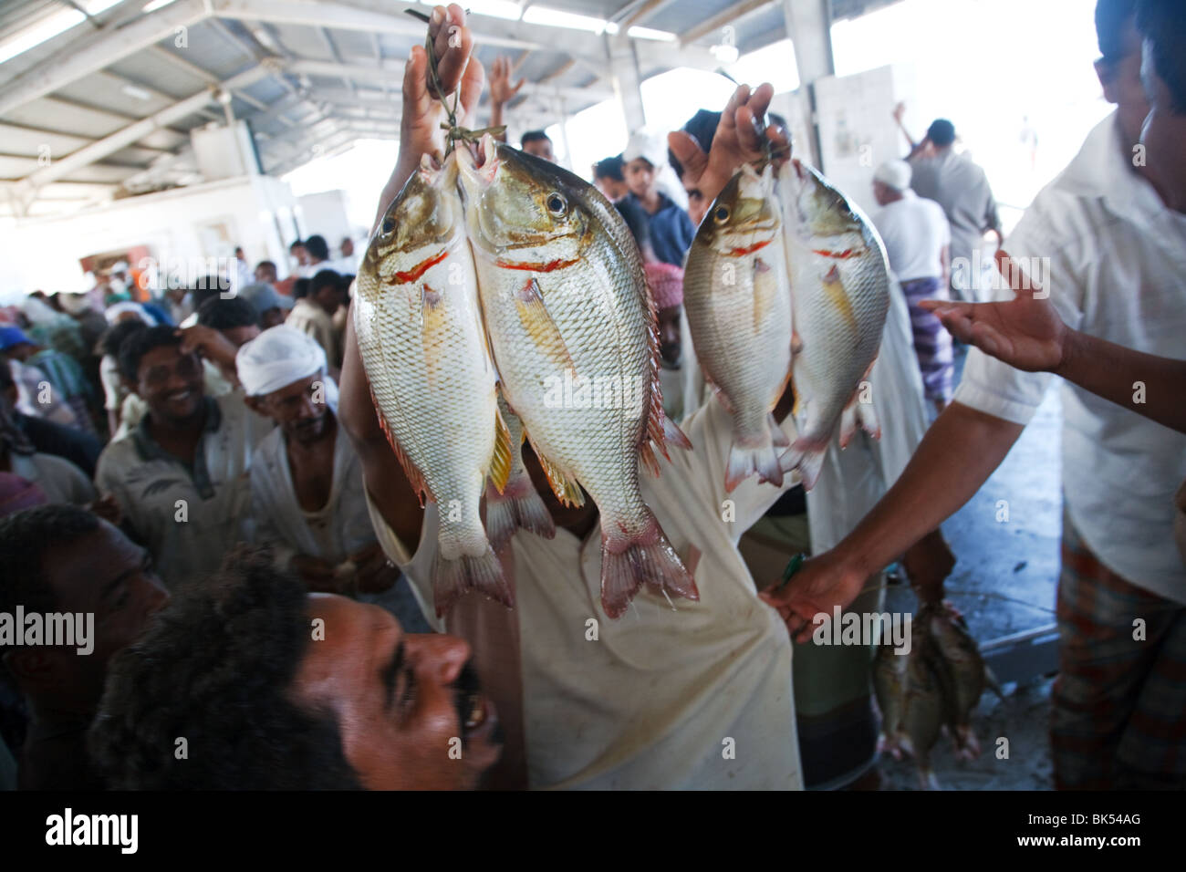 men selling fish at the market in al-Hodeydah, Yemen Stock Photo - Alamy