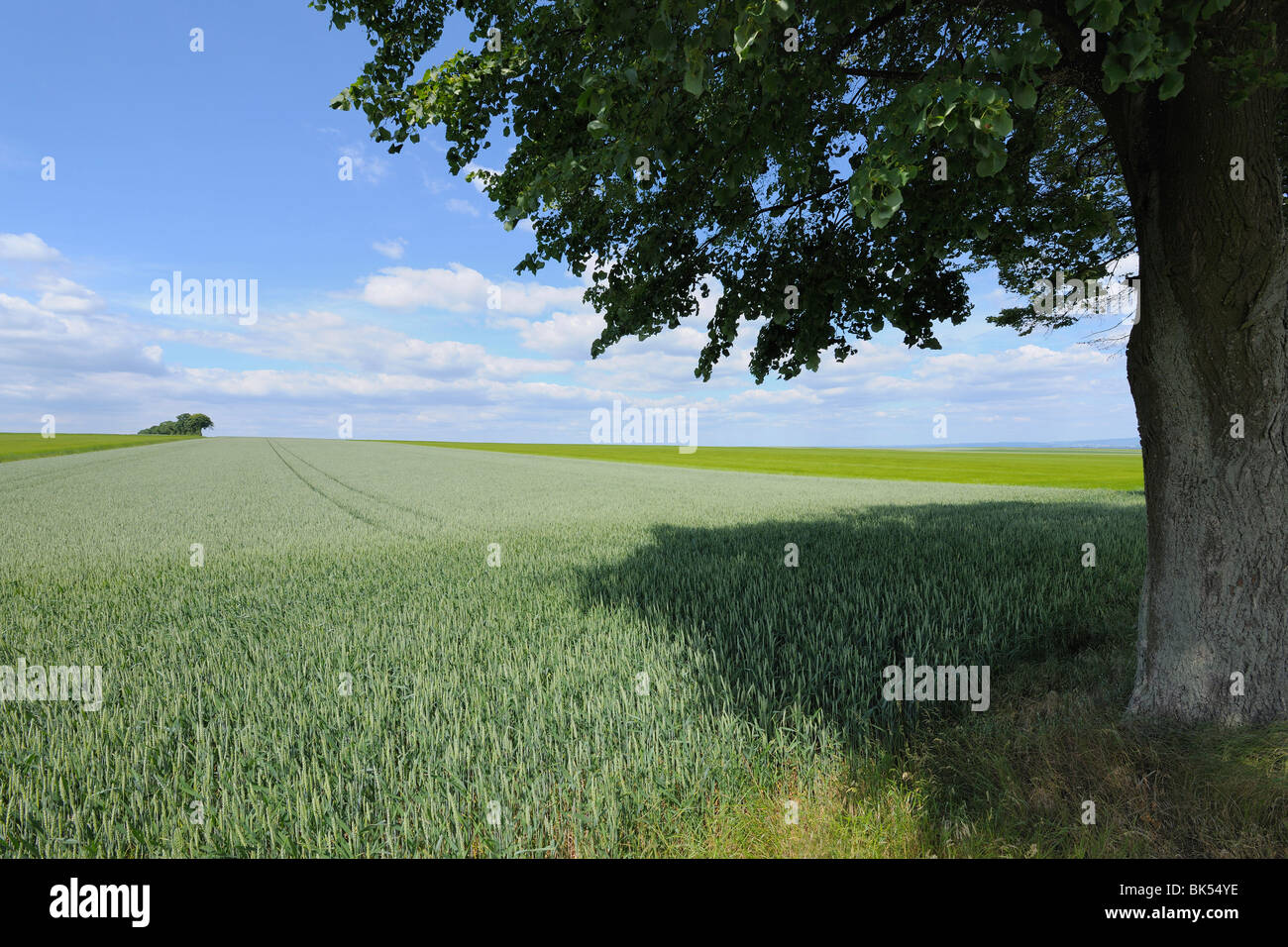 Alzey hi-res stock photography and images - Alamy