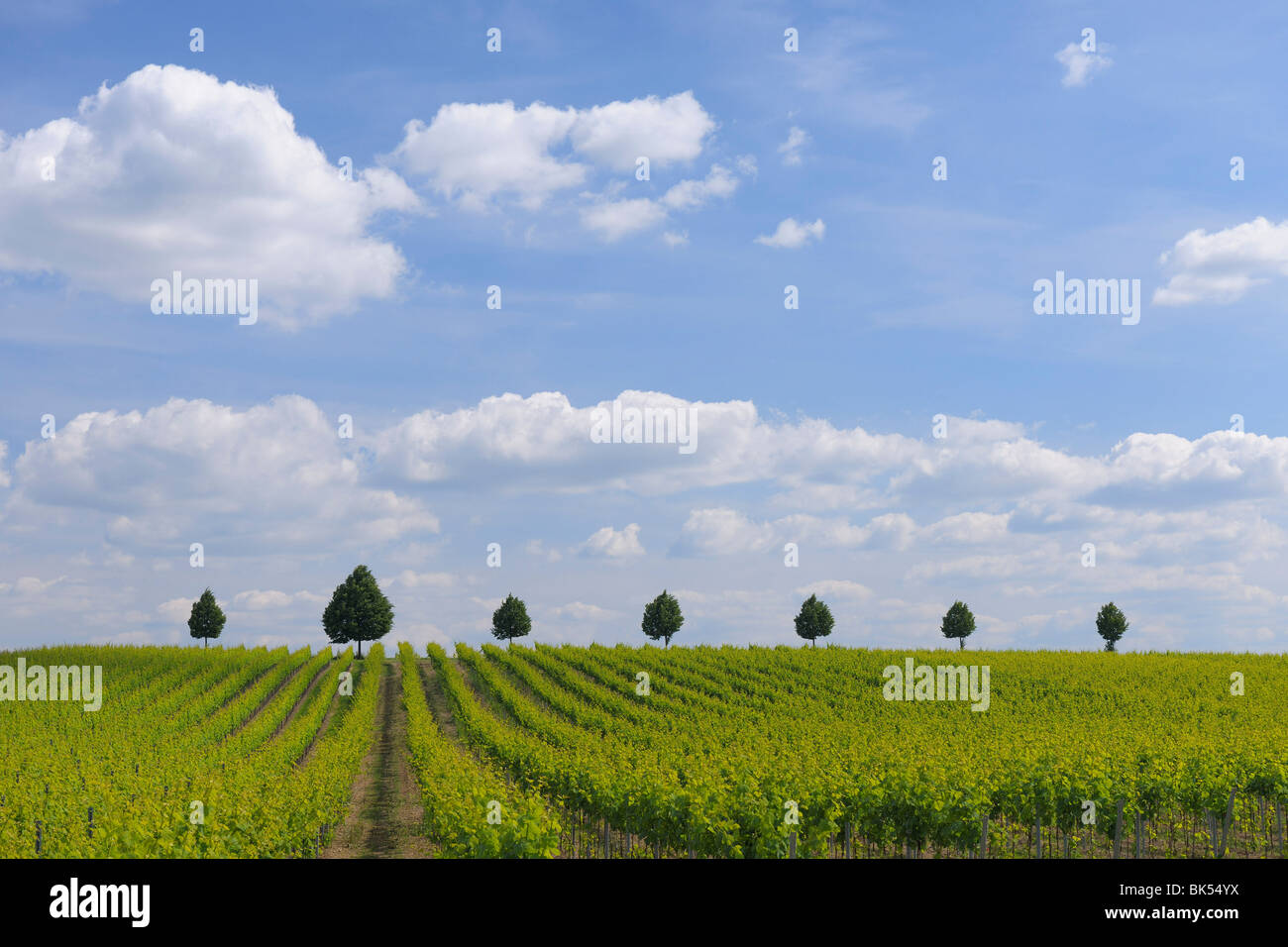 In alzey hi-res stock photography and images - Alamy