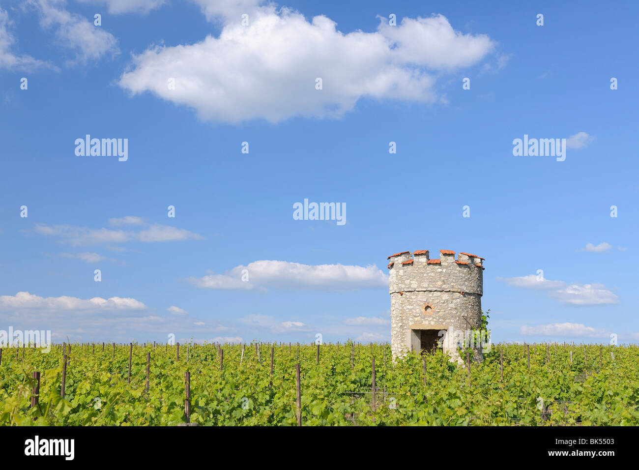 Florsheim hi-res stock photography and images - Alamy