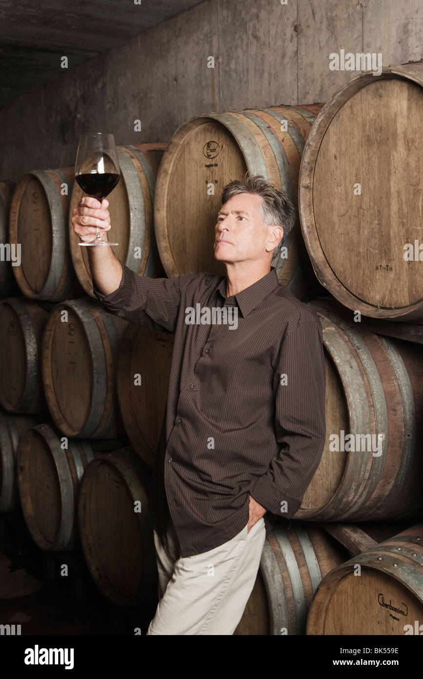 Winemaker Examining a Glass of Wine Stock Photo - Alamy