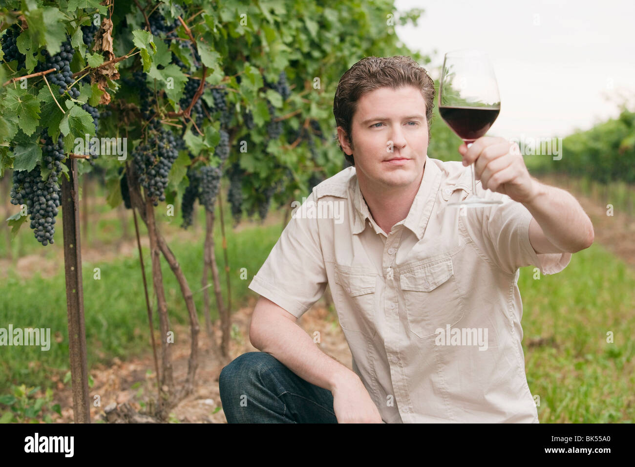 30 year old man wine class hi-res stock photography and images - Alamy