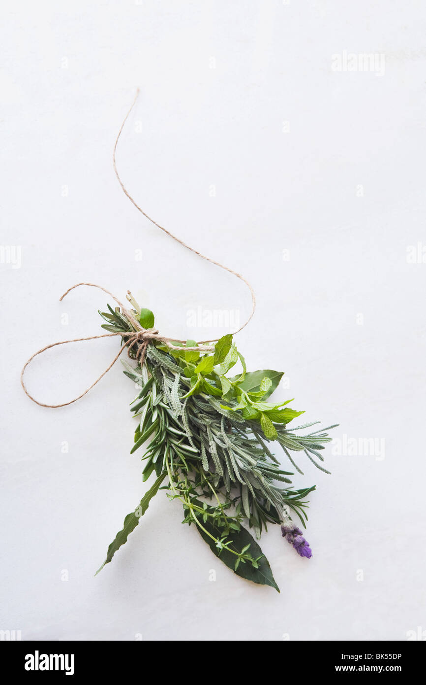 Bundled leaf hi-res stock photography and images - Alamy