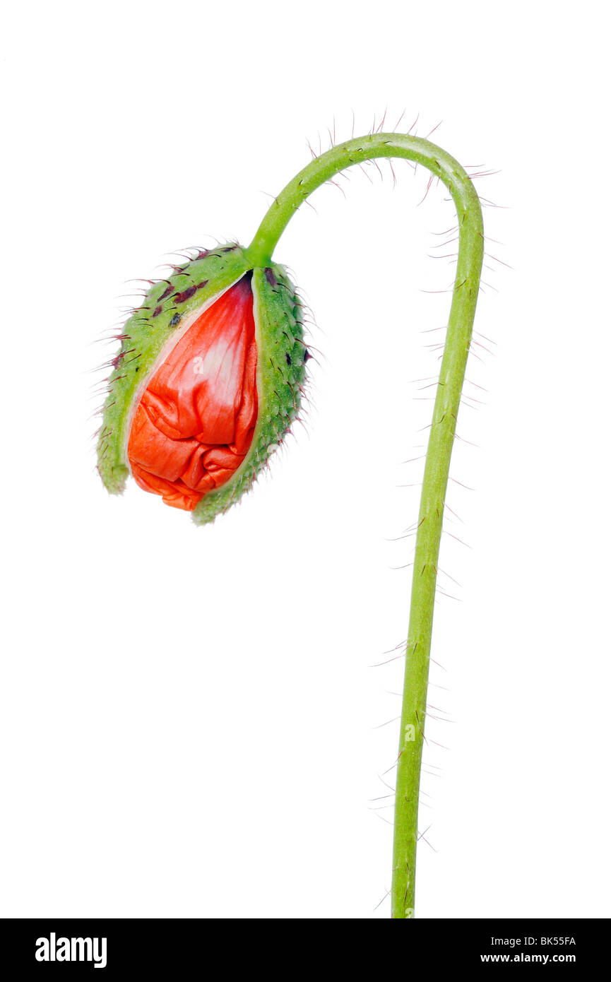 Radius curve Cut Out Stock Images & Pictures - Alamy