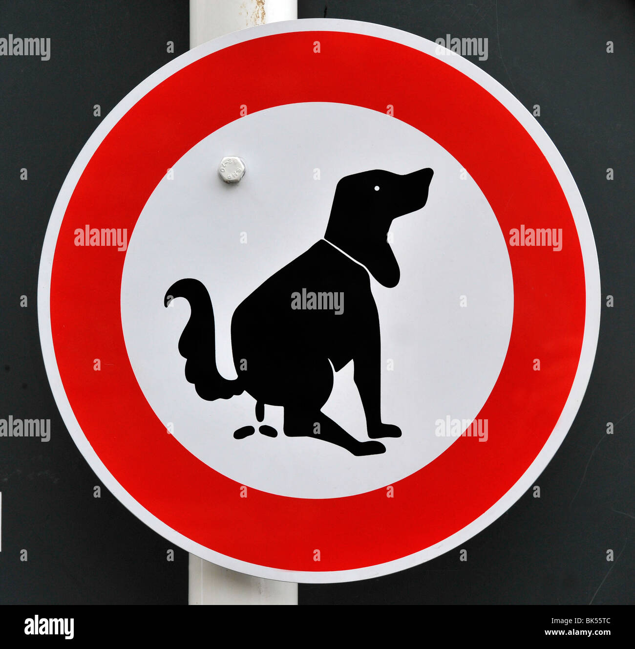 Not allow hi-res stock photography and images - Alamy