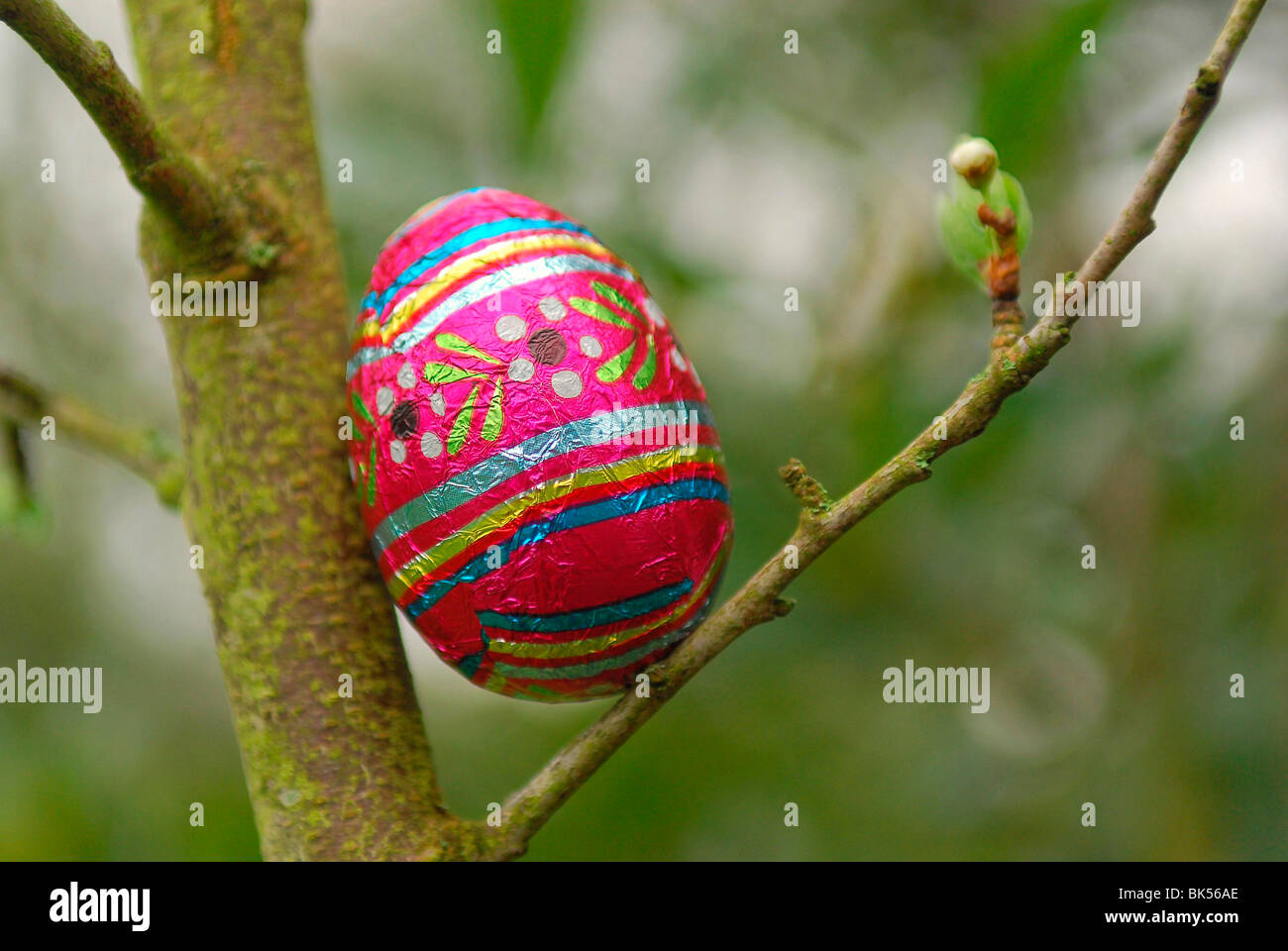 Easter egg tree hi-res stock photography and images - Alamy