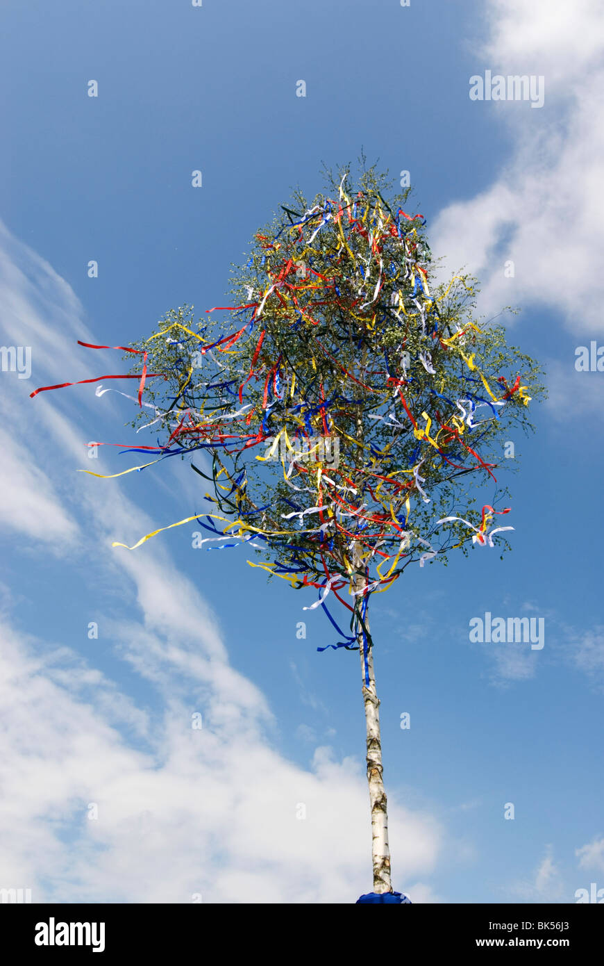 May tree Hungary Stock Photo - Alamy