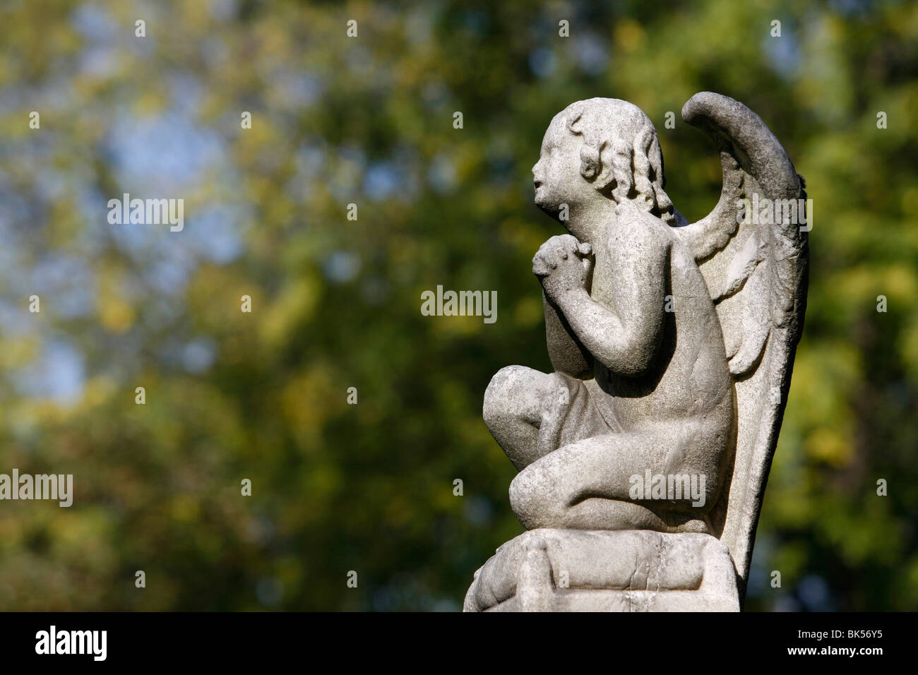Angel sculpture at Pere Lachaise cemetery, Paris, Ile de France, France ...