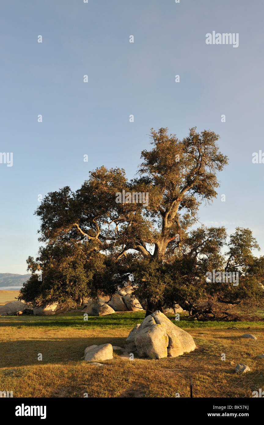 Warners ranch hi-res stock photography and images - Alamy