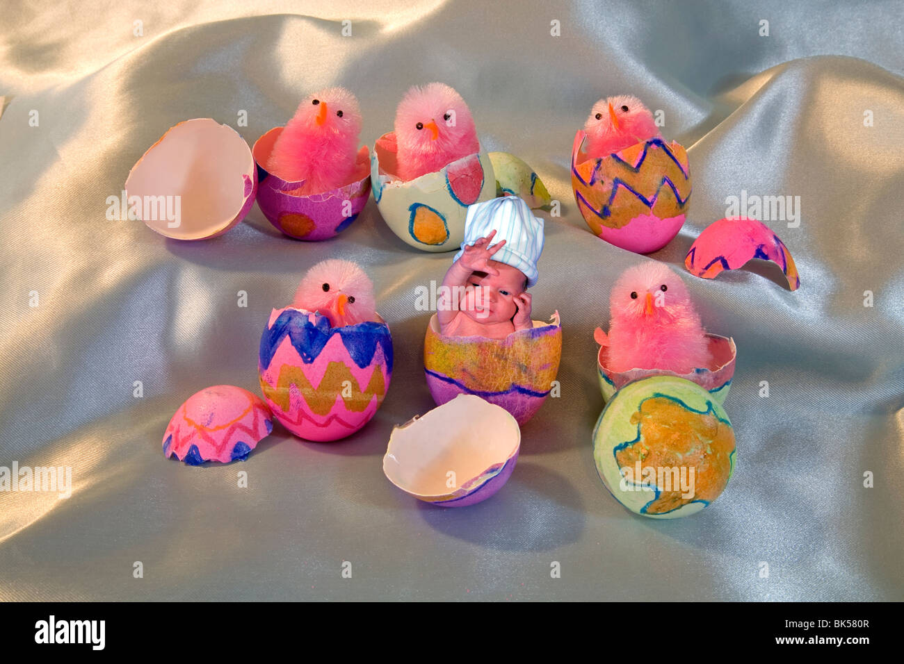Easter egg hatching chick chicks bunny Easter Stock Photo - Alamy