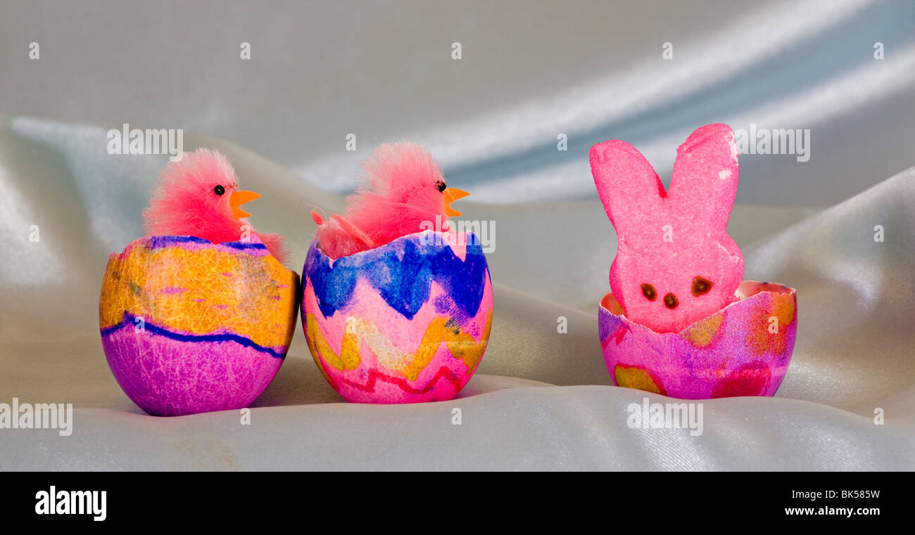 Chick bunny egg eggs hatch hi-res stock photography and images - Alamy