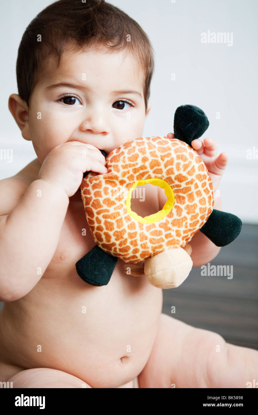 Baby chewing on toy Stock Photo - Alamy