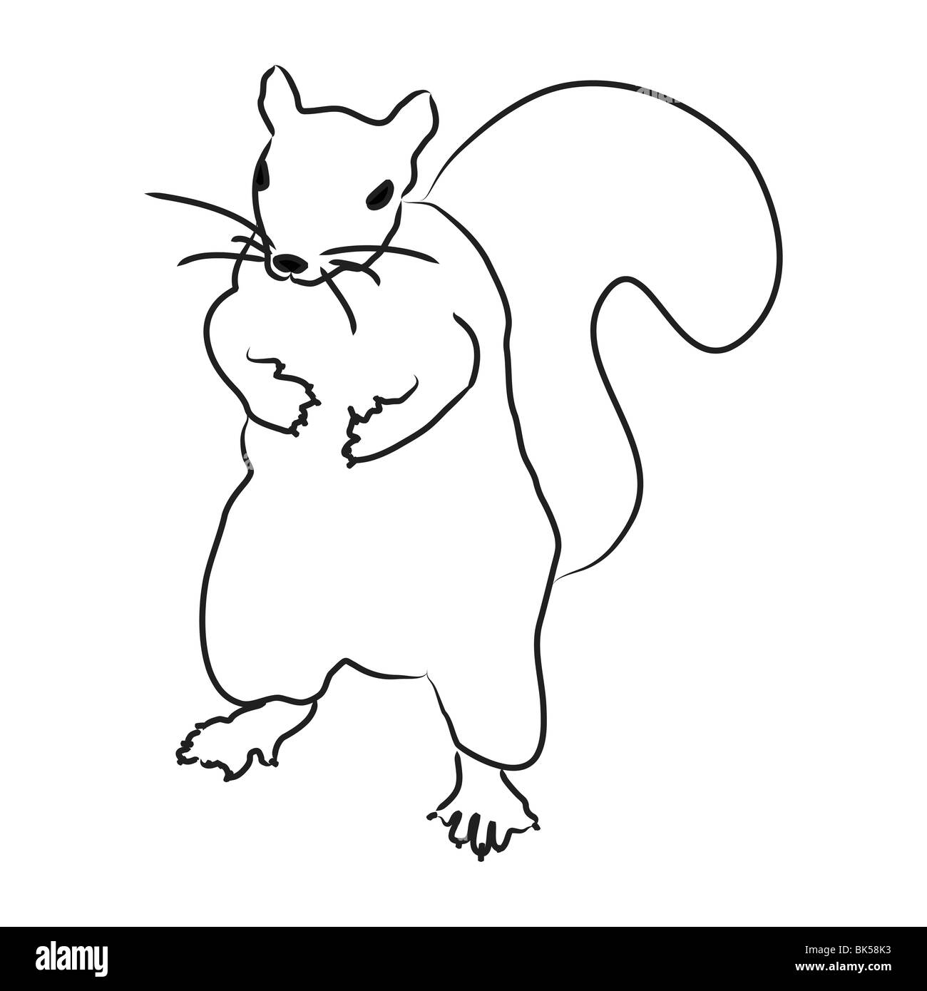 An illustration of a squirrel standing aggressively Stock Photo - Alamy