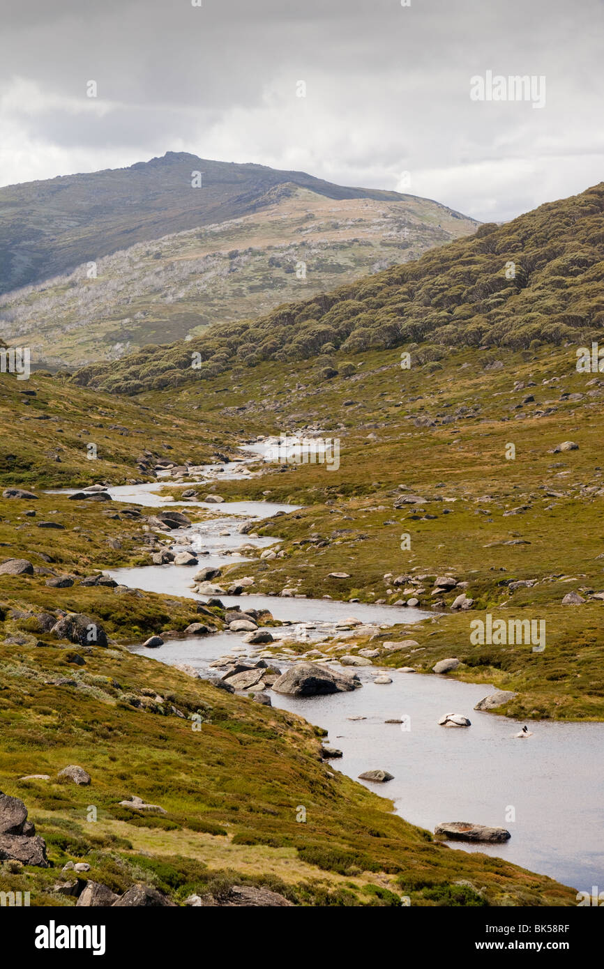 Snowy river snowy mountains australia hi-res stock photography and ...
