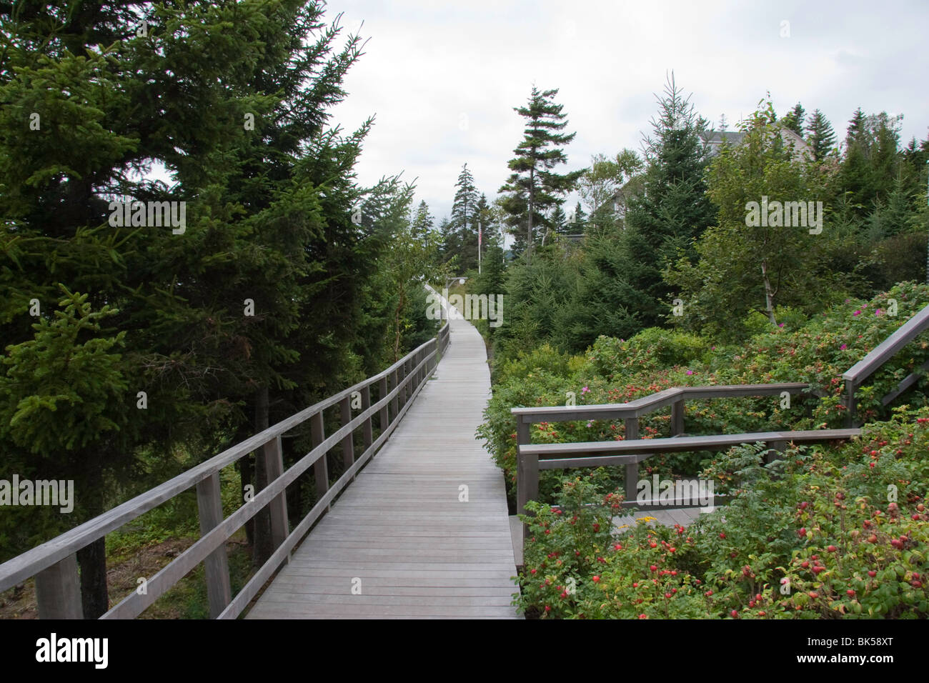 Squirrel Island Boardwalk Stock Photo - Alamy