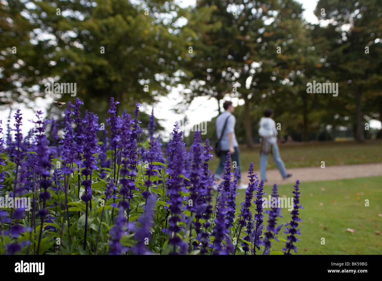 Unidentifiable people hi-res stock photography and images - Alamy