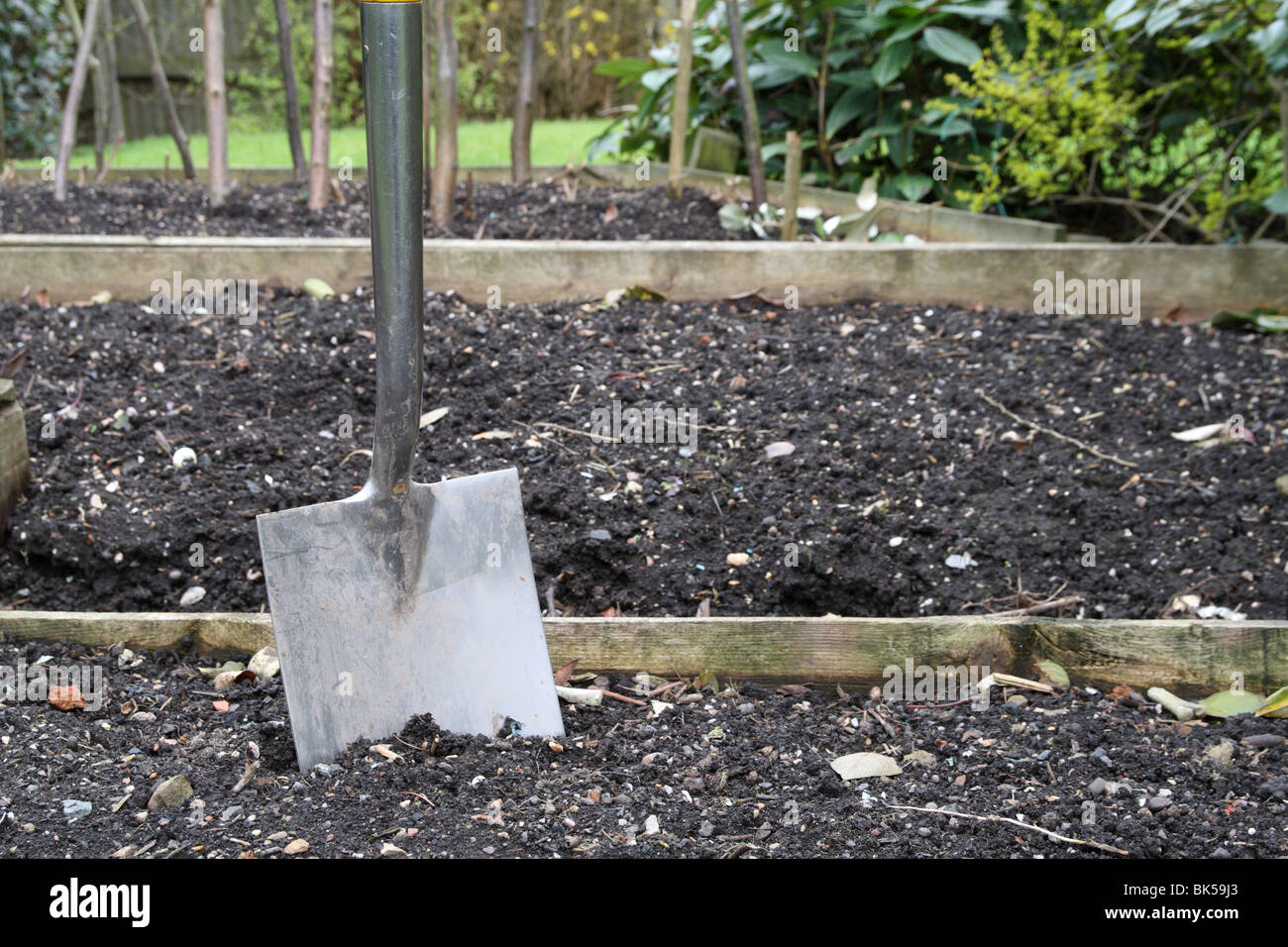Garden Spade in a Raised Planting Bed Stock Photo - Alamy