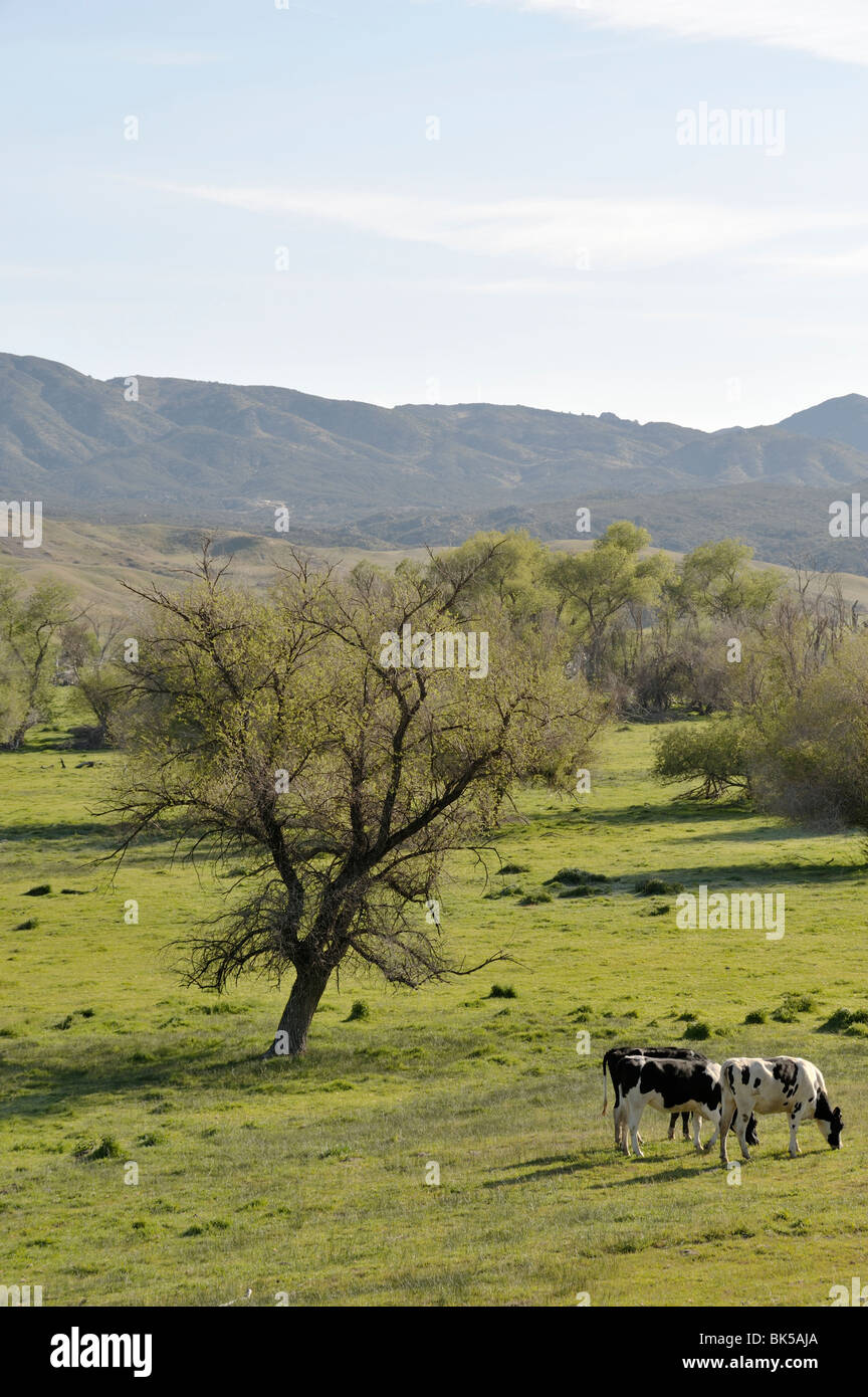 Warner ranch hi-res stock photography and images - Alamy