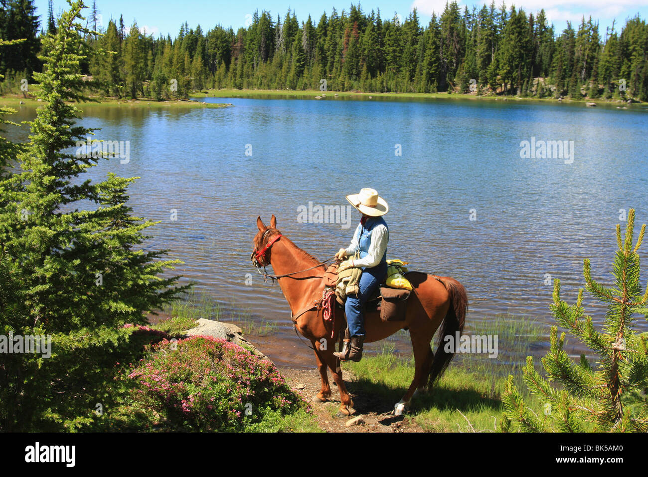 Cowboy riding a horse near a pond, Cascade Range, Oregon, USA Stock ...