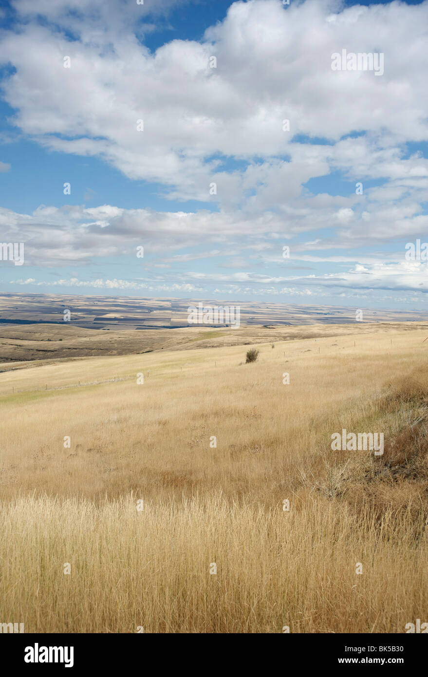 Off highway hi-res stock photography and images - Alamy