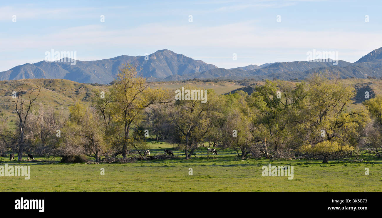 Warners ranch hi-res stock photography and images - Alamy