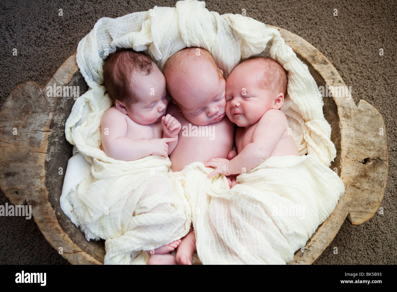 New born triplets Stock Photo - Alamy