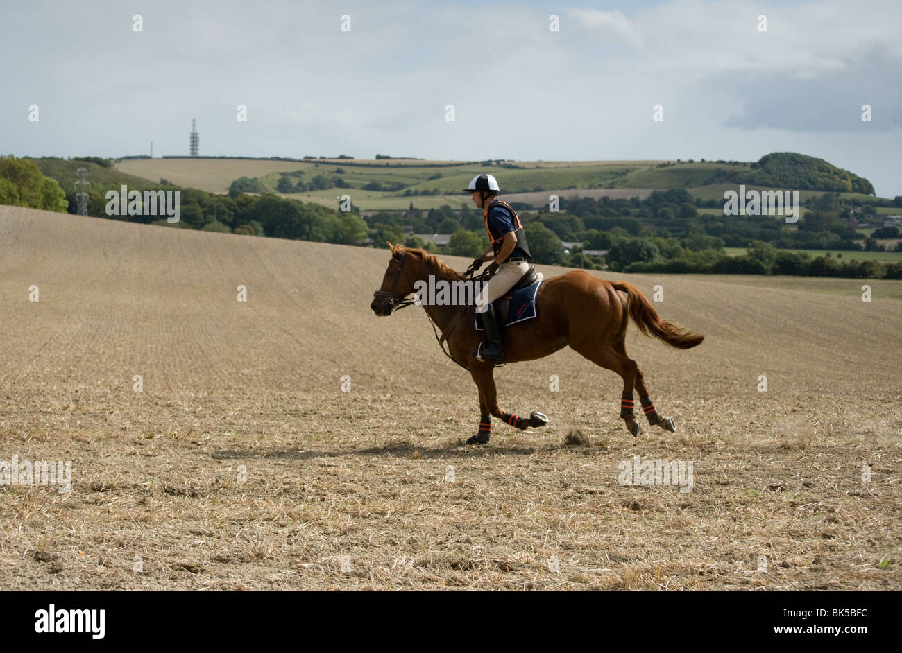 Horse and rider race across the Kent Countryside Stock Photo - Alamy